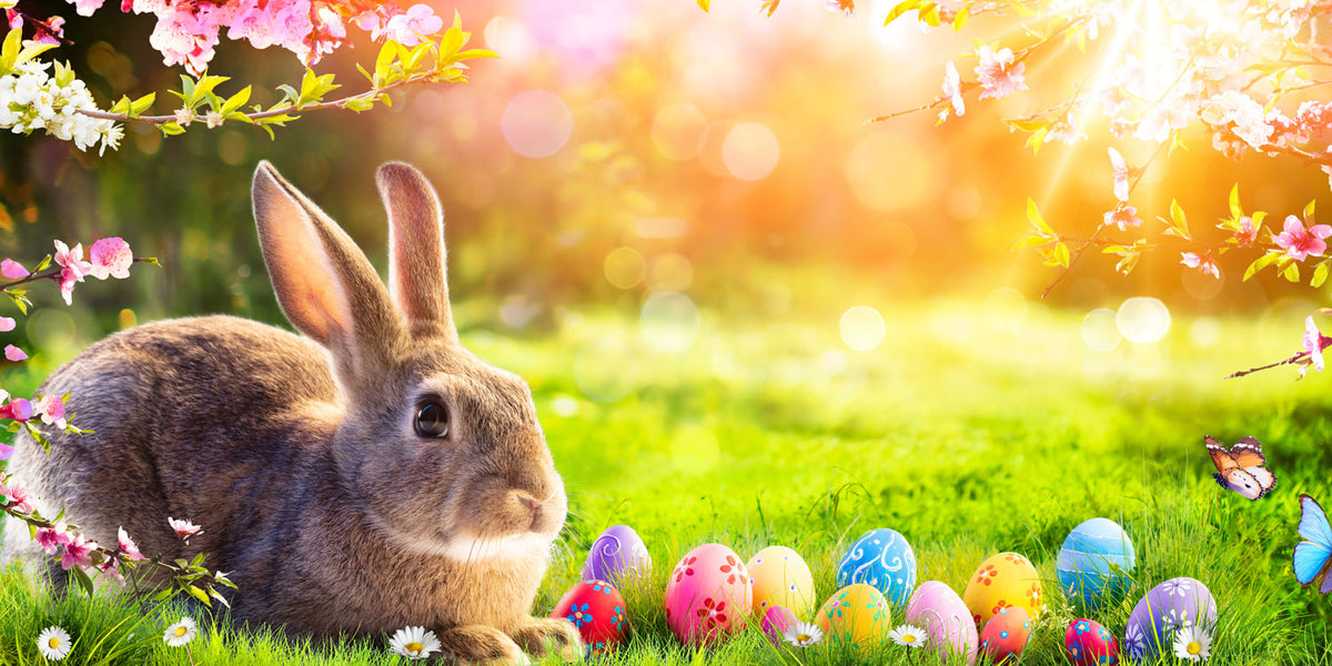 Easter – Bonanza Variety